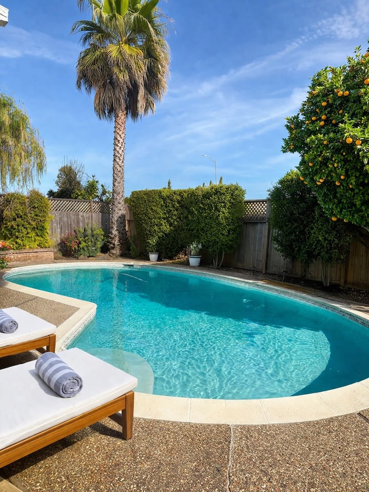 Petaluma Poolside Paradise | Charming 3br Retreat - Petaluma, CA
