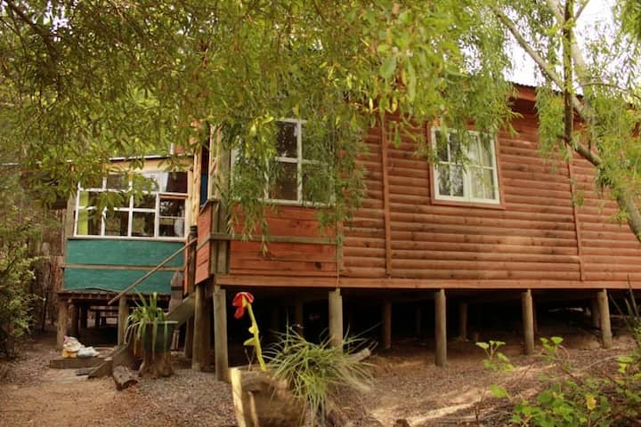 Descanso En El Bosque, Acogedora Cabaña - El Quisco