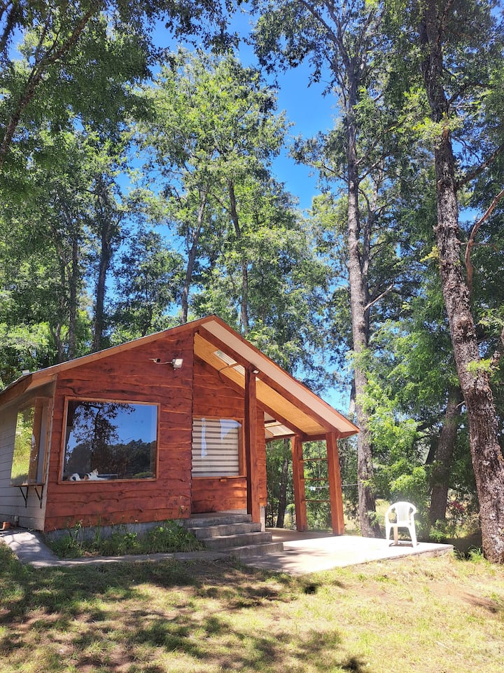 Cabaña Entre Hualles - Curacautin