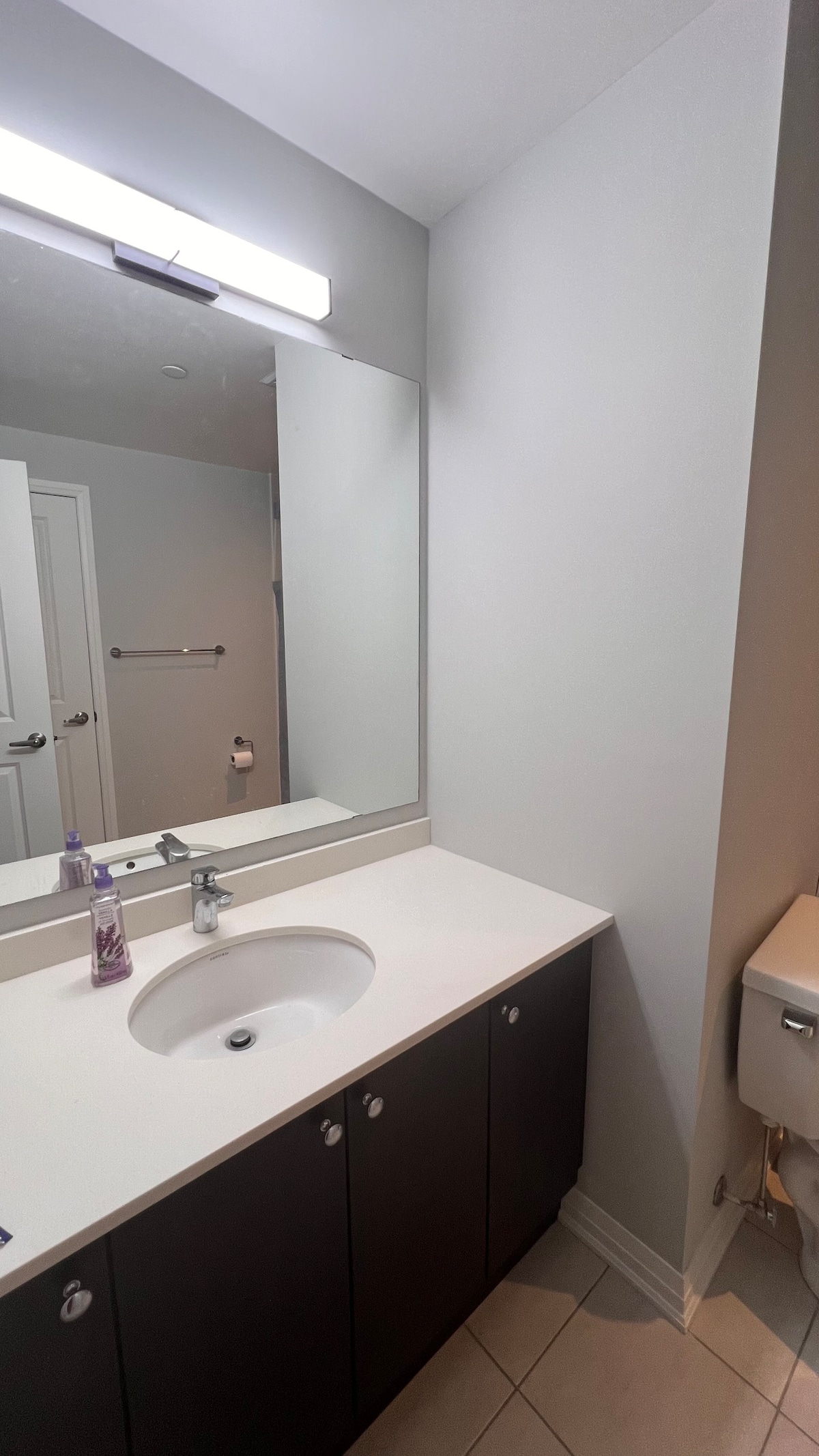 Stylish condo near Port Credit - Condominiums for Rent in Mississauga ...