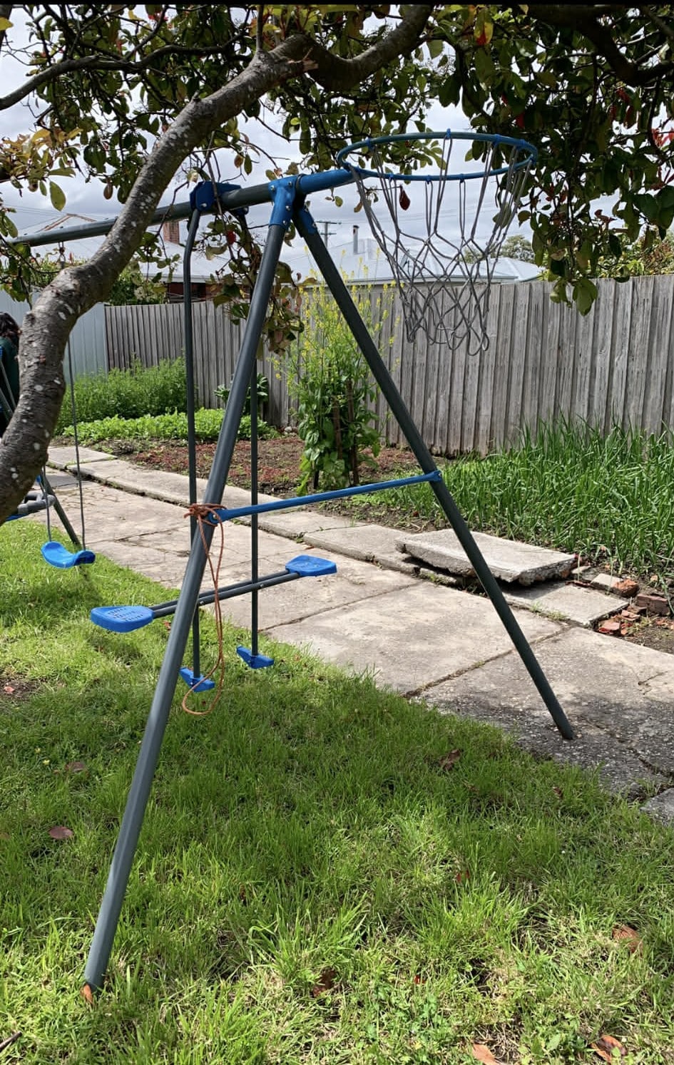 Central Mowbray Base Near UTAS & Transport - Houses for Rent in Mowbray ...