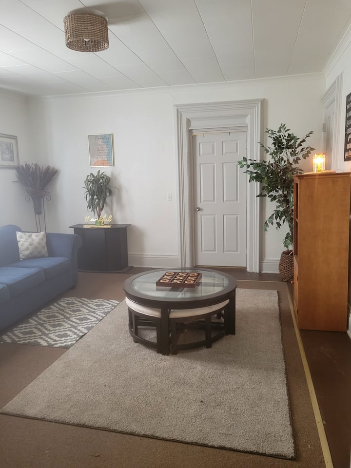 Wonderful 2 Bedroom Apartment/with Appliances - Rochester