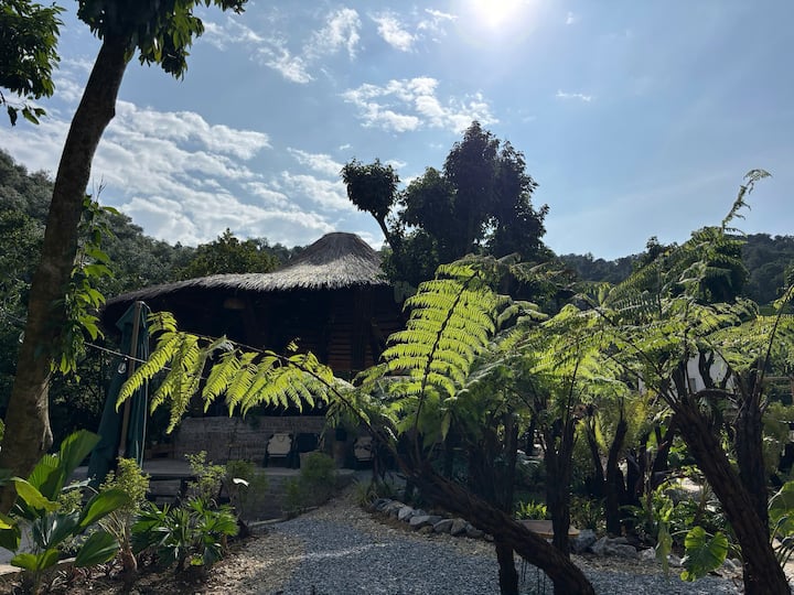 Một Khu Vườn Nhiệt đớI Nhiều Sắc Màu - Hanoi Nội Bài Airport (HAN)