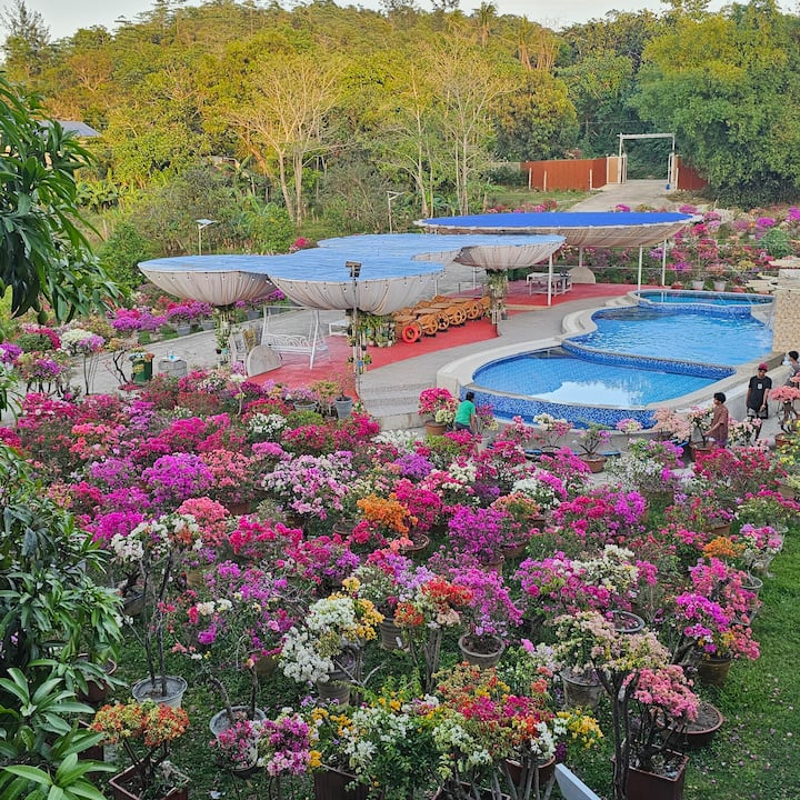 Fem's Blooming Paradise - Private Resort - Alaminos