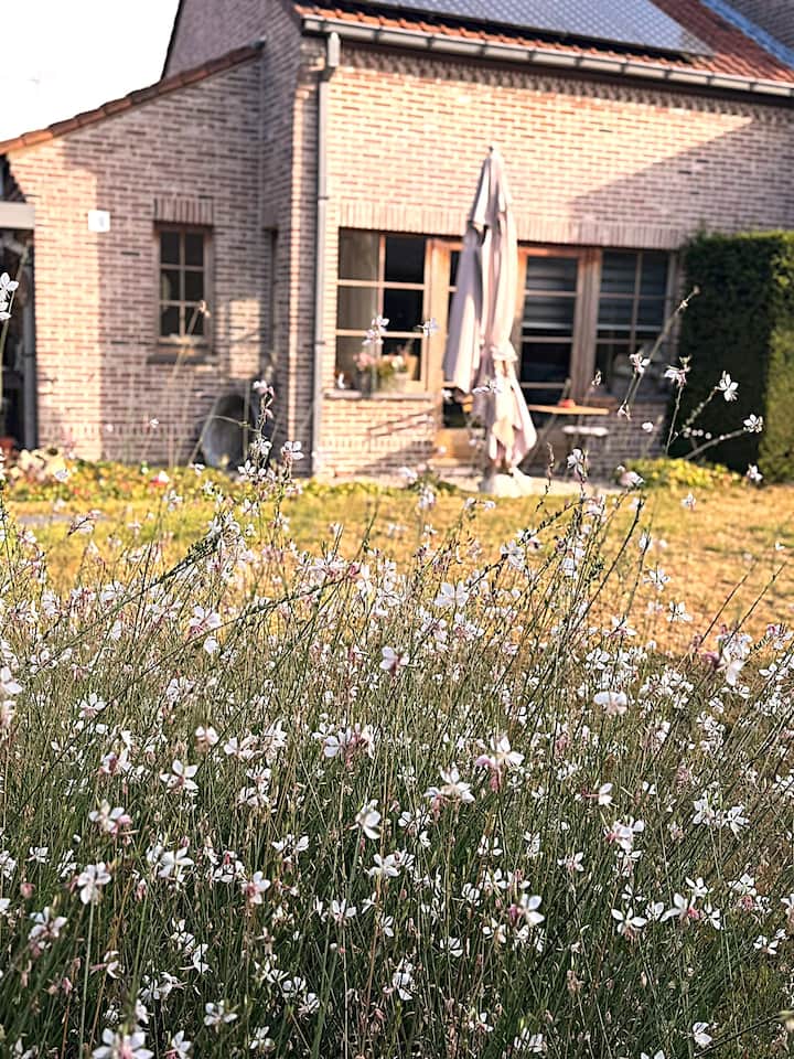 Tussengentenkortrijk Een Gezellig Gastenverblijf - Waregem