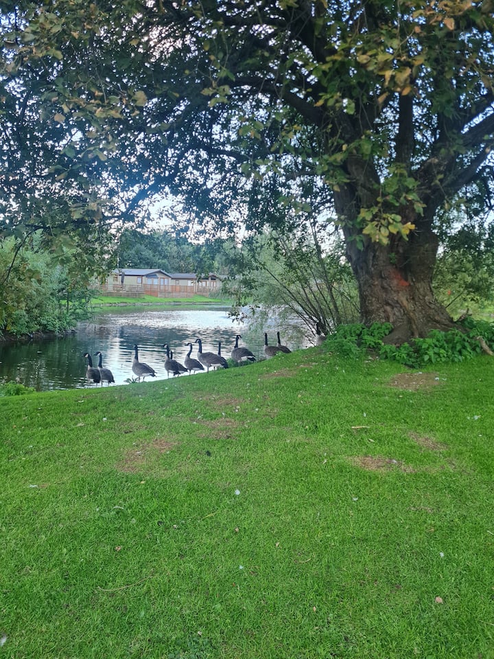 Riversong Retreat A Peaceful Streamside Lodge - Wooler