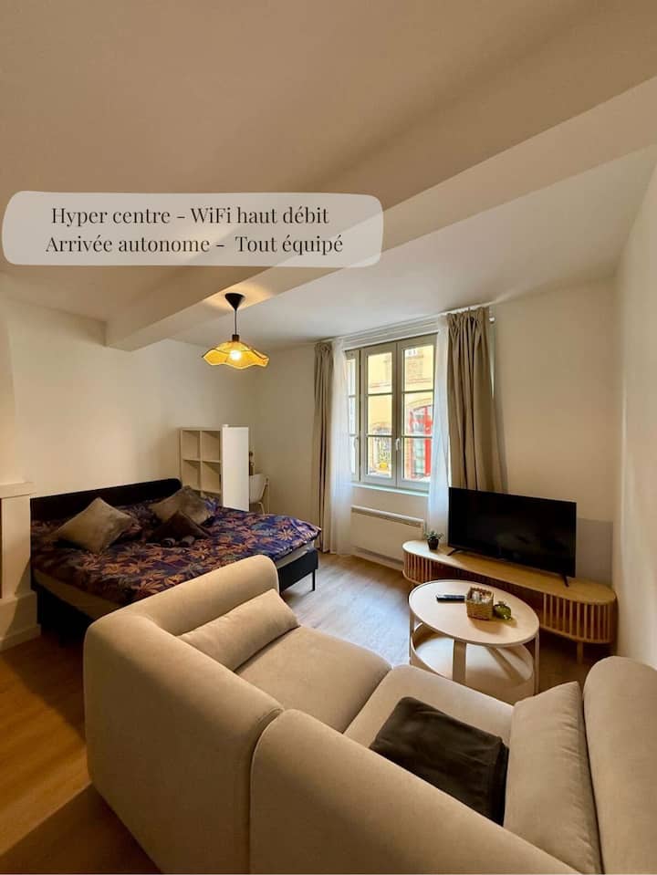 Studio Cosy Au Centre De Montauban - Wifi - Montauban