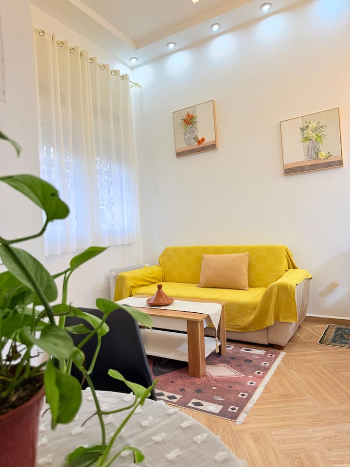 Dada : Bienvenue à Alger Centre - Alger