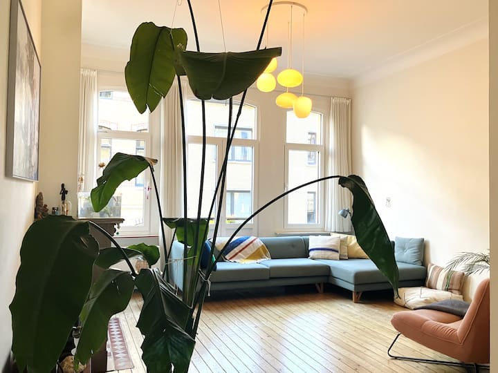 Sfeervol Herenhuis In Het Hart Van Zurenborg - Antwerp