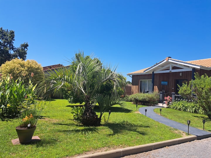 Villa Située Sur Lège Cap -Ferret - Lège-Cap-Ferret