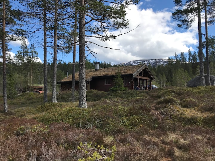 Flott Heiihytte I Unikt Landskap - Seljord