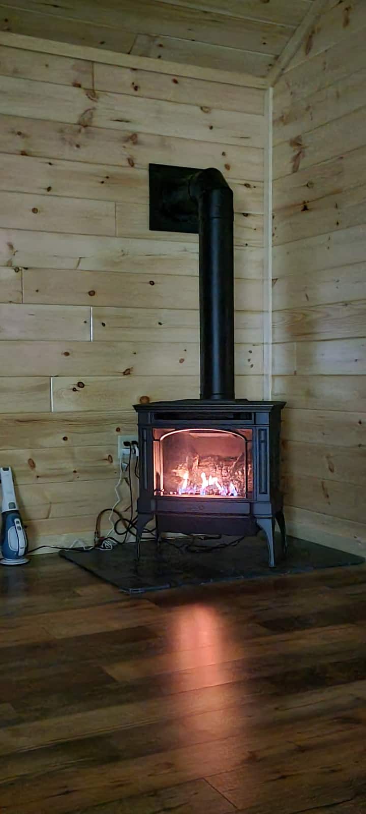 Cozy Wooded Hideaway With Stunning Forest Views. - Tustin, MI