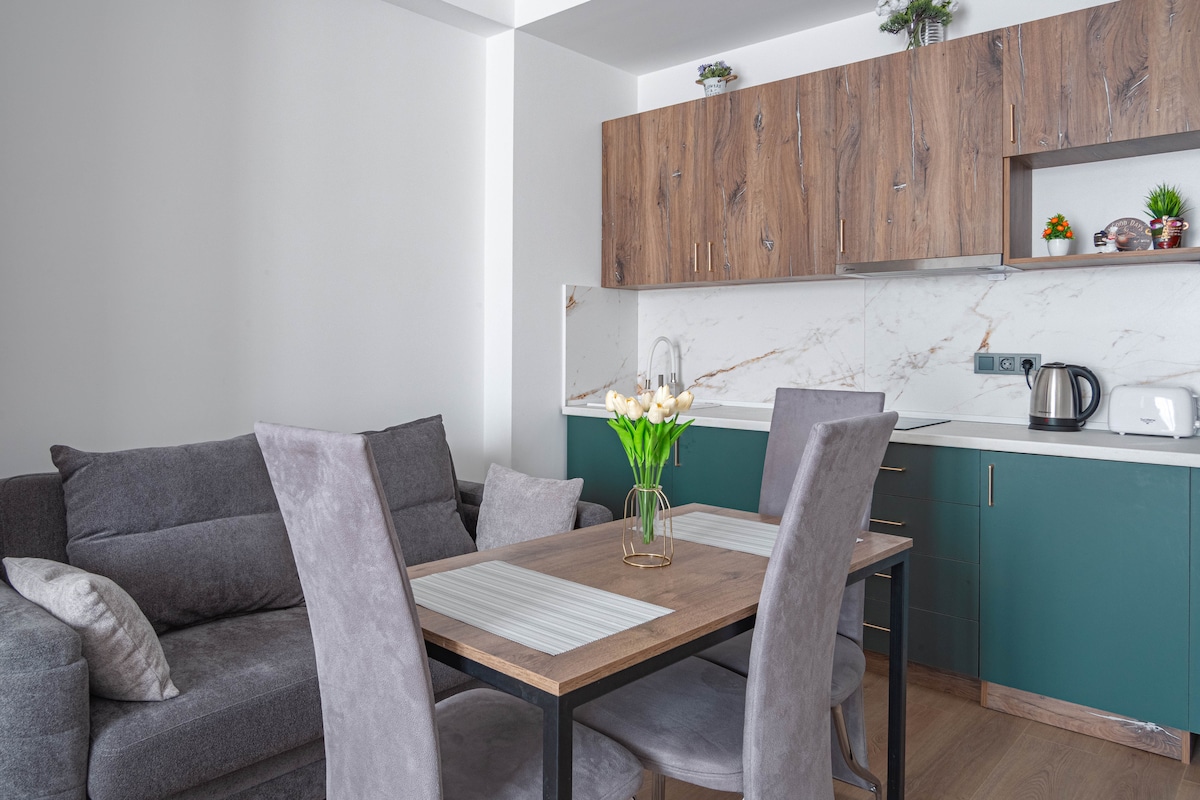 Nueva vista a la montaña Gudauri Alpic GVC 114 - Apartotel en renta en ...