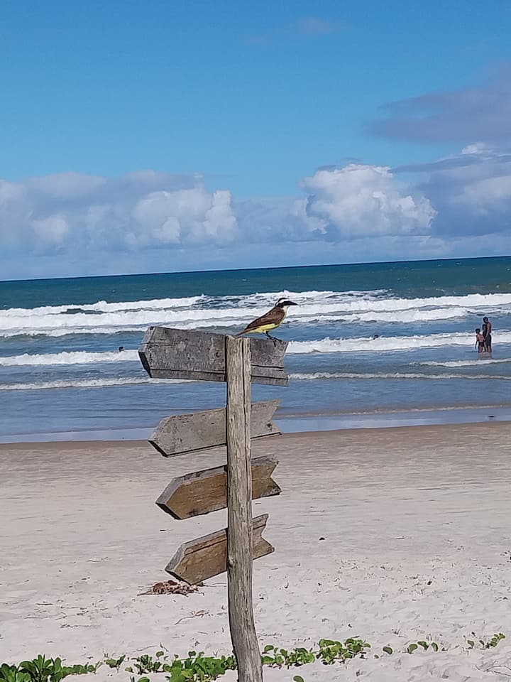 Casa 900 Metros Da Praia Dos Milionários - Ilhéus