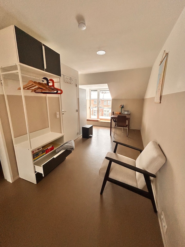 Fully Equipped 1 Bedroom Apartment Near Center - Riemst