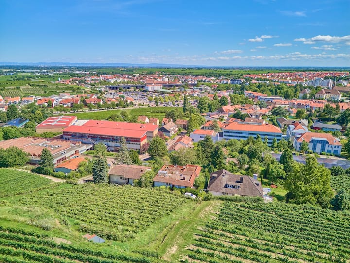 Weinbergsnest Im Herzen Von Bad Dürkheim - Freinsheim