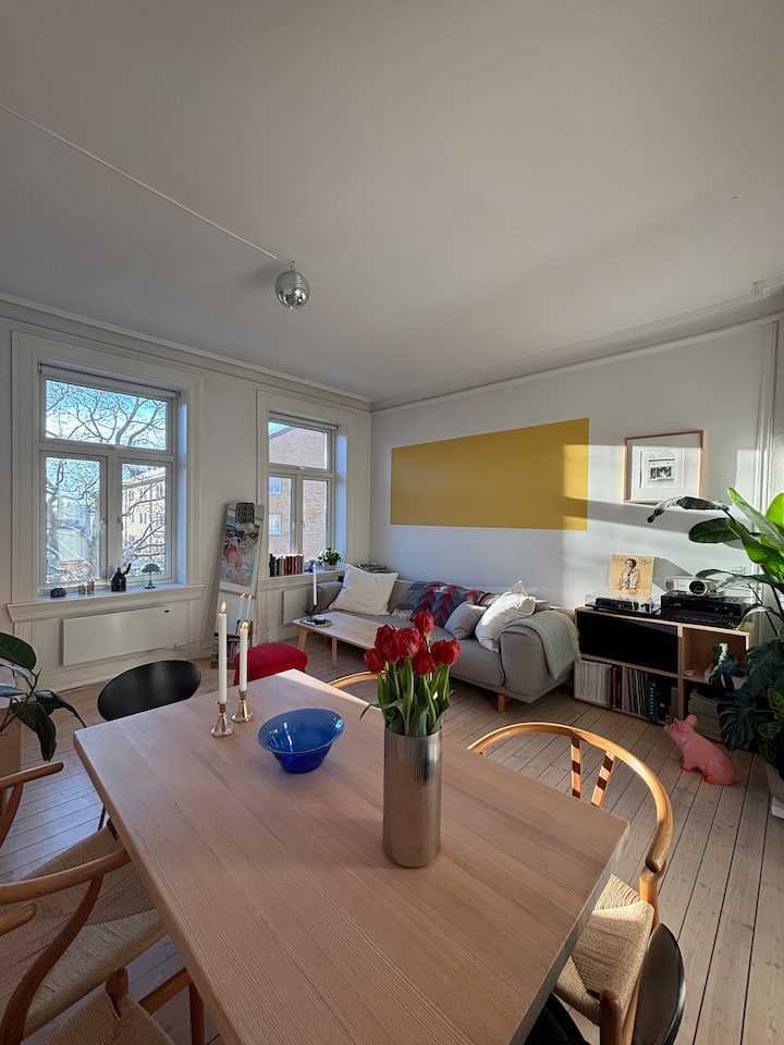 Lys Og Luftig Leilighet Midt På Torshov! - Oslo