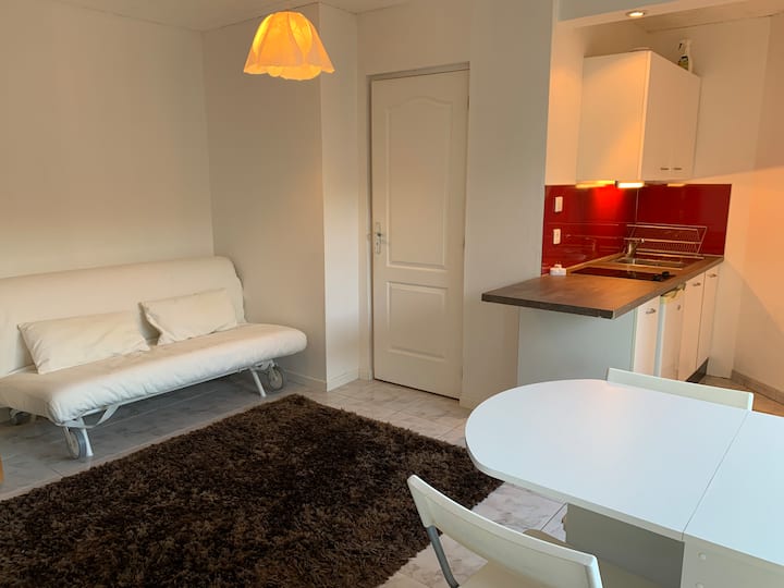 Studio Terrasse à 5 Minutes Du Point 5 Du Cern - Ferney-Voltaire