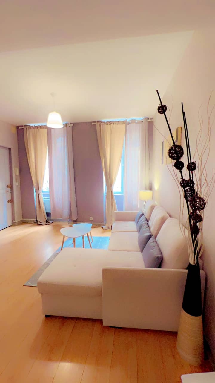 Appartement Cosy En Plein Centre-ville - Chalon-sur-Saône