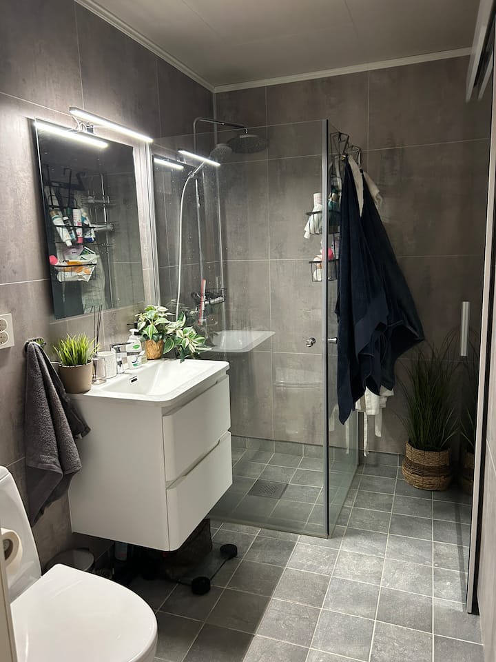 Koselig Enebolig Rett Utenfor Hamar - Furnes