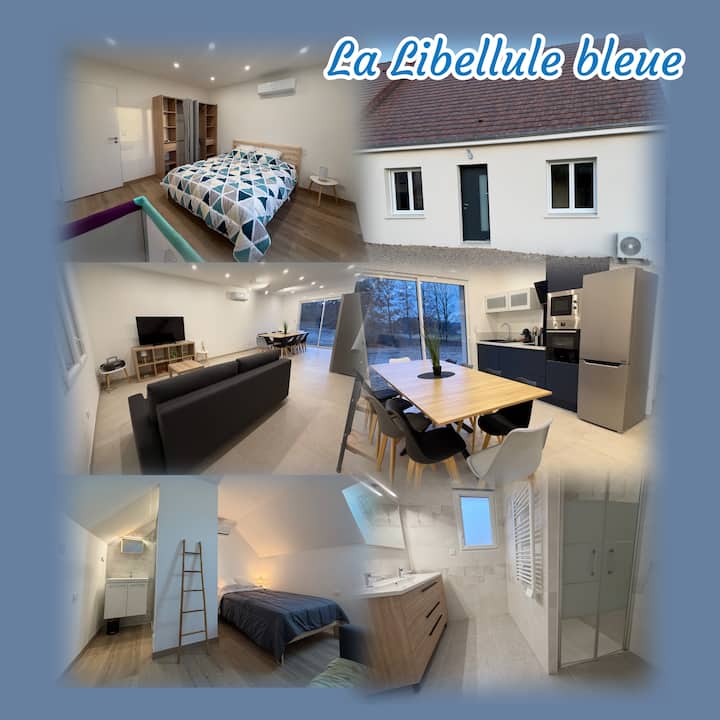 La Libellule Bleue Zoo De Beauval Et Chateaux - Saint-Aignan-sur-Cher