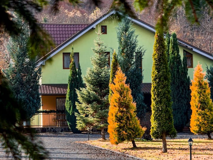 Refugiu De Liniște Pe Valea Avrigului - Avrig