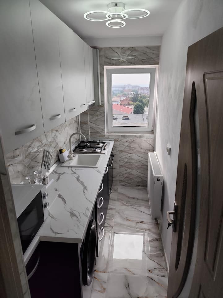 Studio Central Brancusi - Târgu Jiu