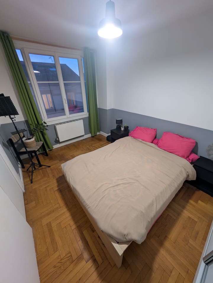 Chambre Cosy à 5 Min Du Tram T1 - Chez L'habitant - Lyon