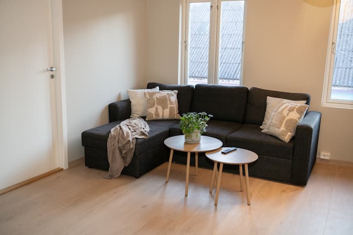 Iconic Location | Fargegata | Private Balcony - Stavanger