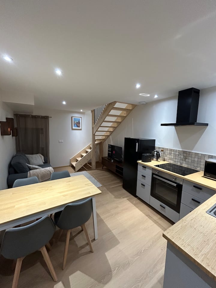 Appartement Montbrison Centre - Montbrison