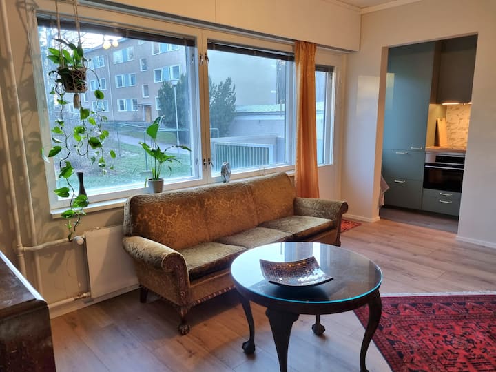 Siisti Ja Tunnelmallinen Yksiö Palveluiden ääRellä - Helsinki