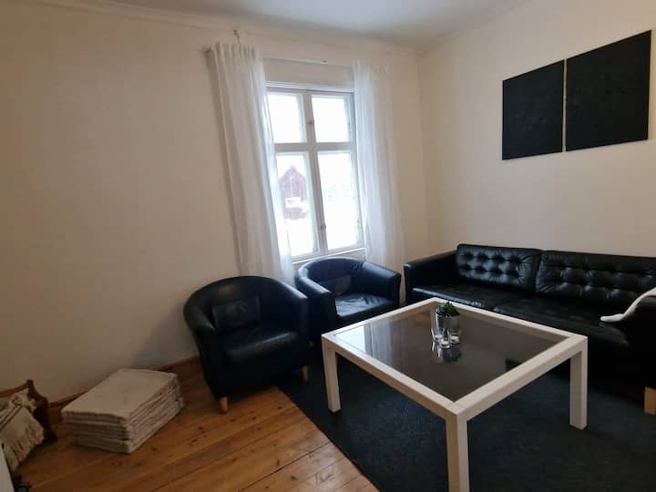 Rymlig Lägenhet Nära Romme Alpin - Borlänge