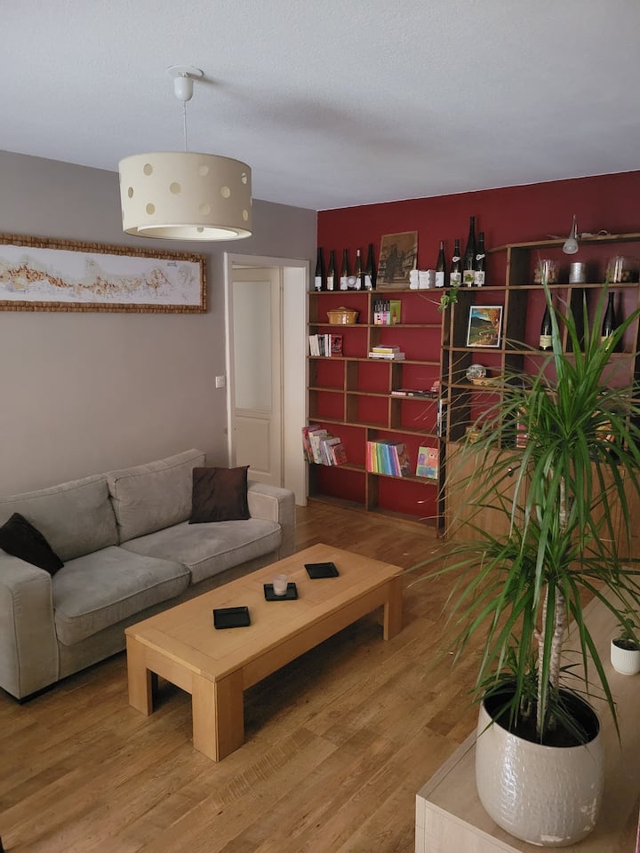 Appartement Le Grand Cru - Colmar