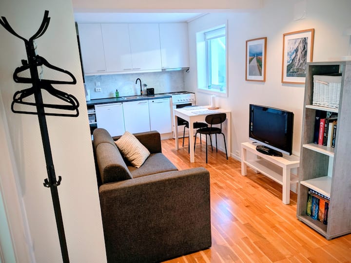 Leilighet I Sentralt Område I ÅLesund - Alesund