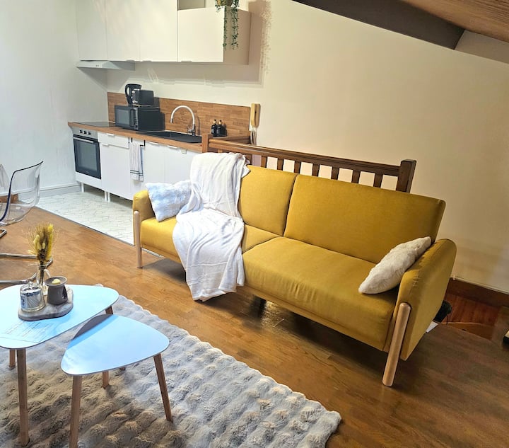 Cosy Calme Centre Ville Wi-fi Netflix - Bar-le-Duc