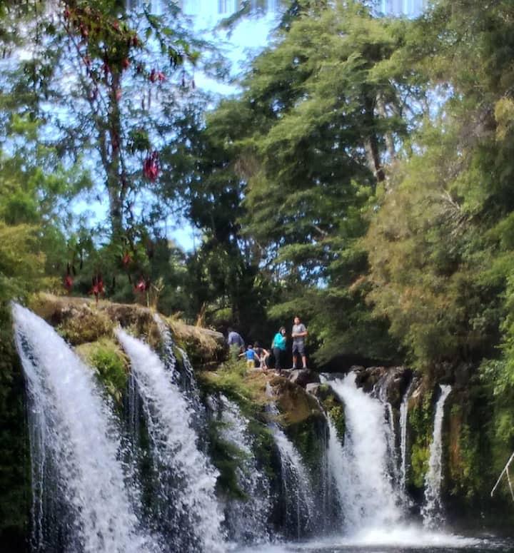 Naturaleza - Lago Ranco