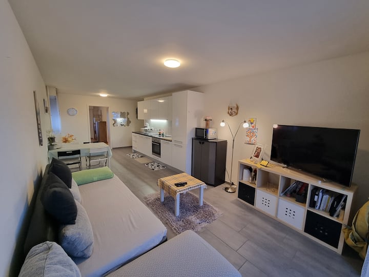 Accogliente Camera Privata In Appartamento Moderno - La Chaux-de-Fonds