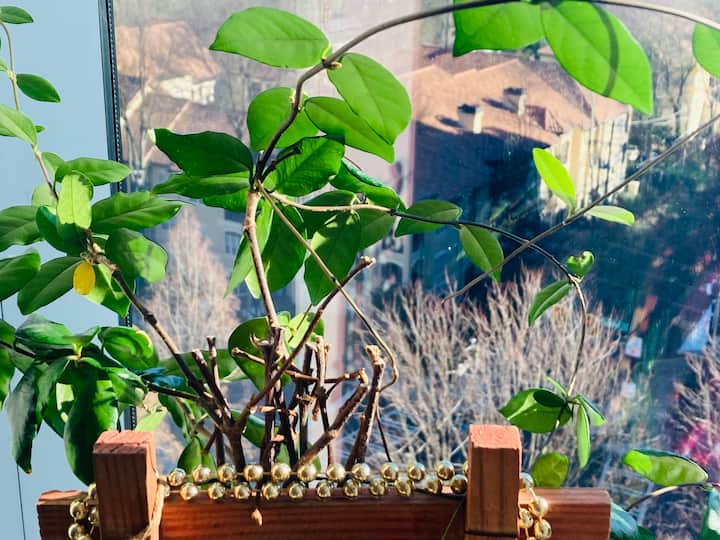 Serene Studio Highrise (Weekend; Or Lease) - Atlanta, GA