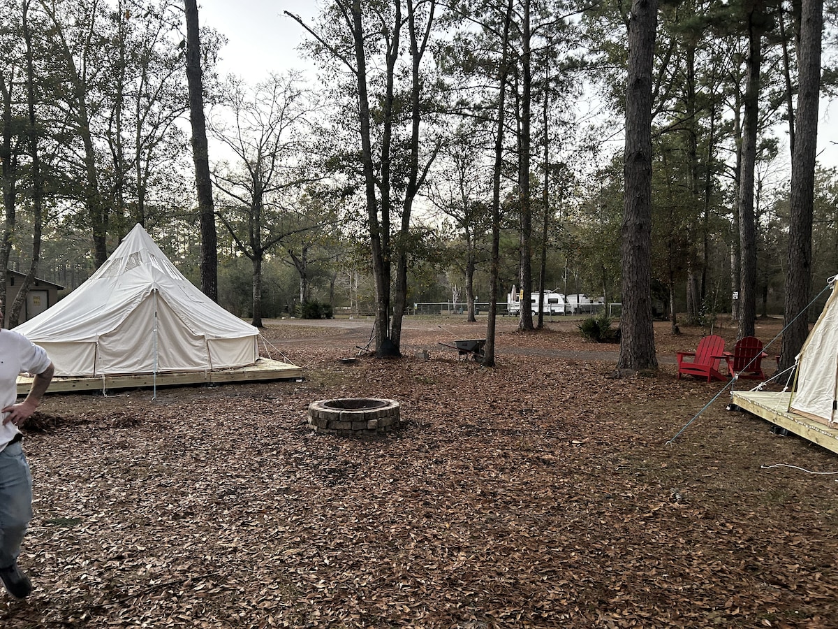 Stargaze the Swamp, Pond Cypress Glamping Tent - Tents for Rent in ...