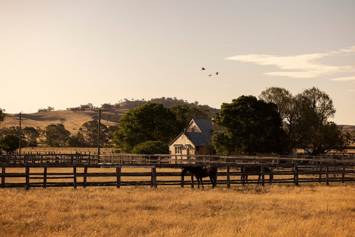 'Louisa' Cottage At Guntawang, Gulgong - Gulgong