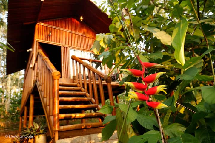 Carpa Lupa :2 Waterfront Bamboo Cottage, Wayanad - Kerala