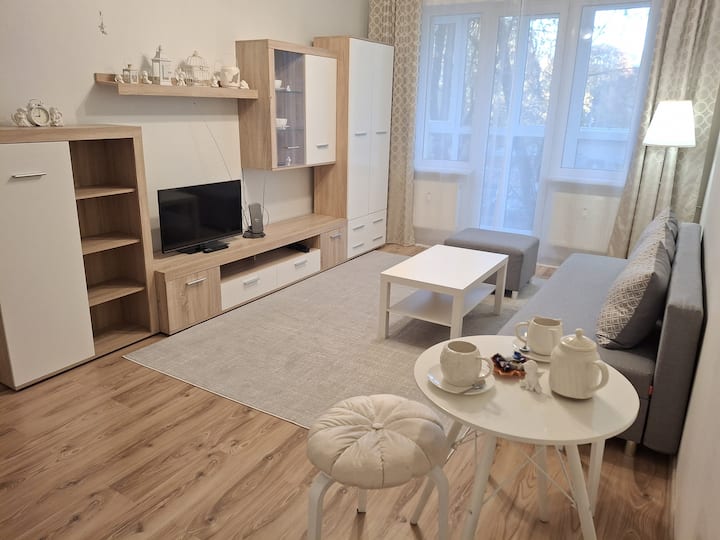 Angel Apartment Near City Center - Vilna