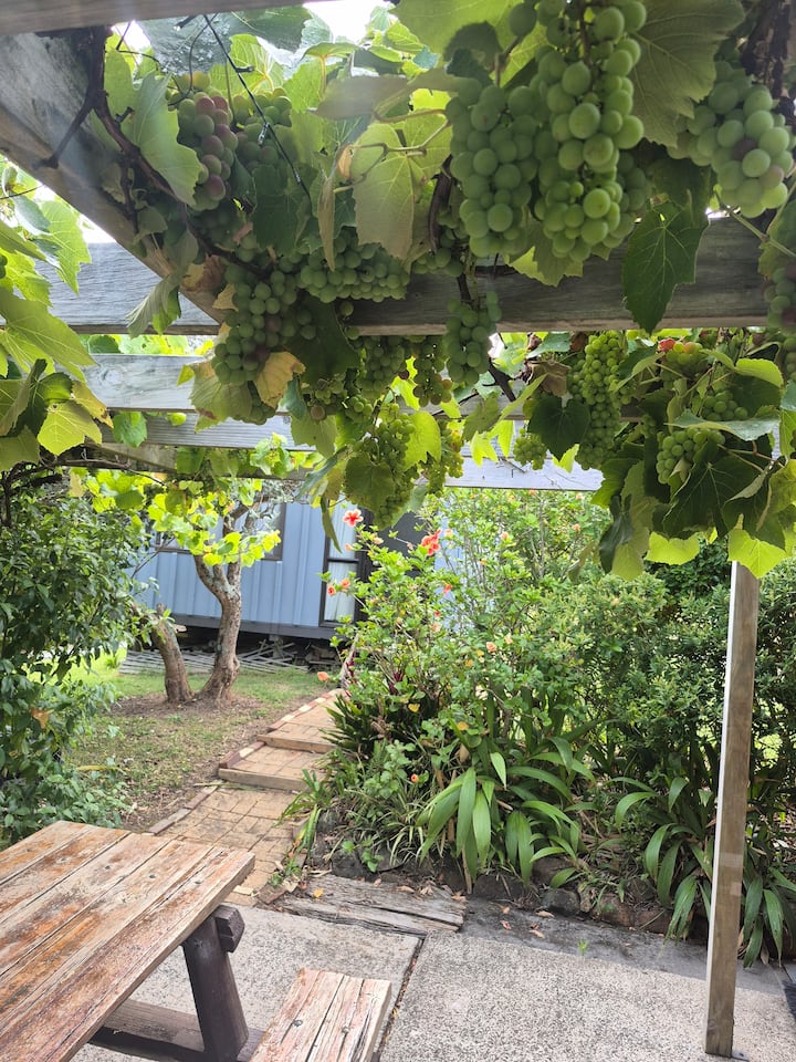 Globetrekkers Lodge, Great For The Whole Family. - Opononi