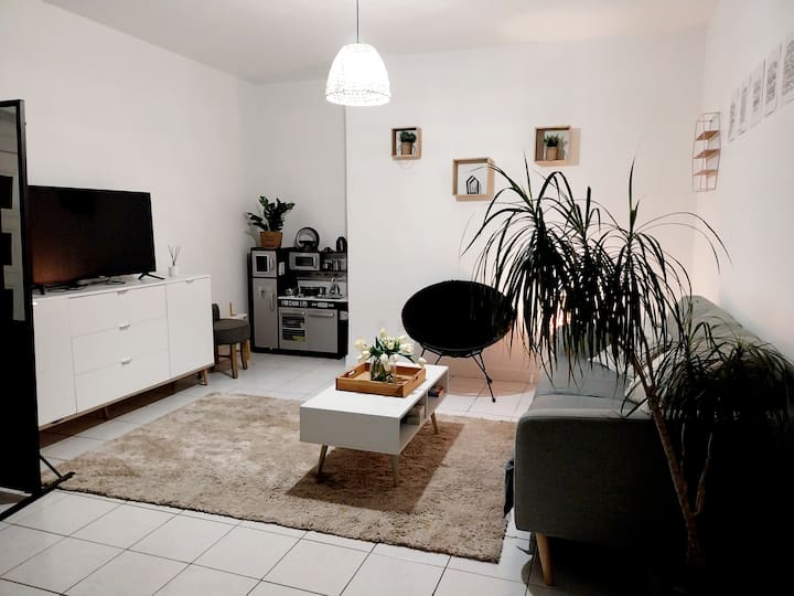 Maison De Village - Terrasse Et Garage - Safari de Peaugres