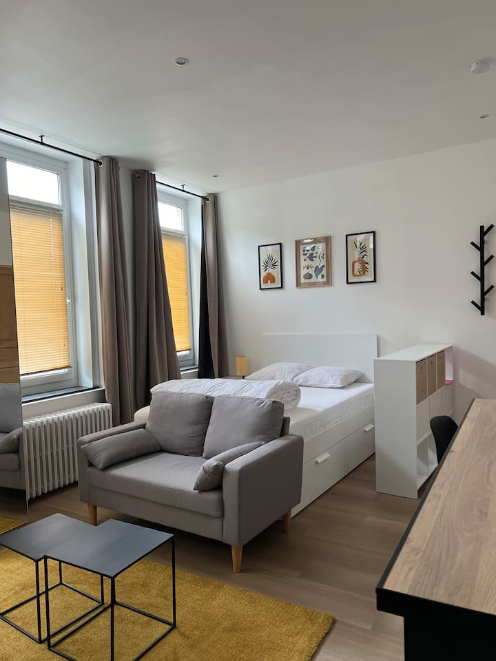 Appartement Bien Rénové Et Très Bien Situé - Tourcoing