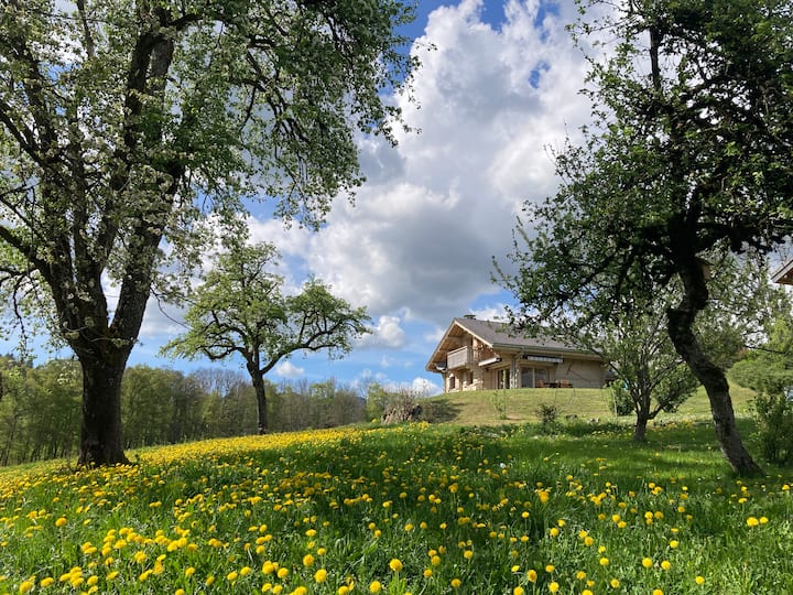 Chalet Entier, Terrasse Et Jardin, Vue Mt Blanc - Praz de Lys Sommand