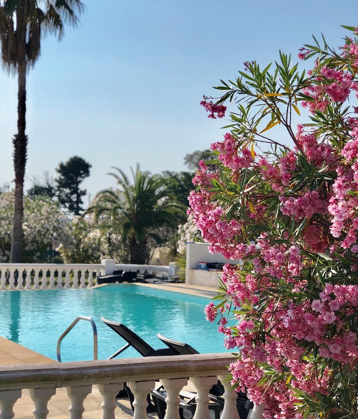T3 Climatisé Avec Piscine - Entre Mer/montagne - Ghisonaccia