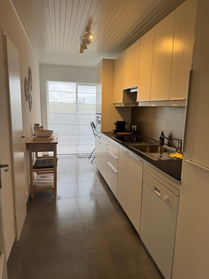 Appartement Complètement éQuipé à 5 Min Du Centre. - Leuven