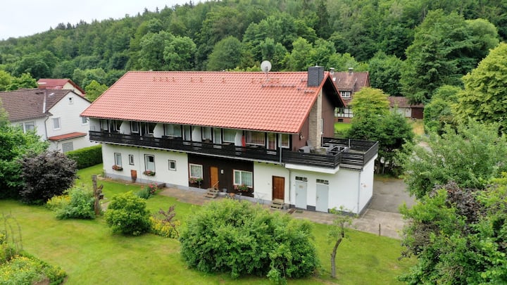 Haus Jörn, Apartment Fuchs - Walkenried