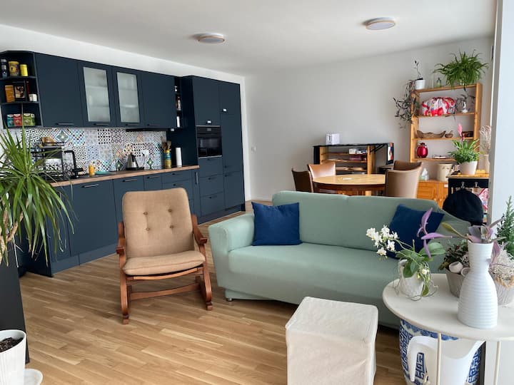 New Spacious 1br By Old Town | Bright & Quiet - Aix-la-Chapelle